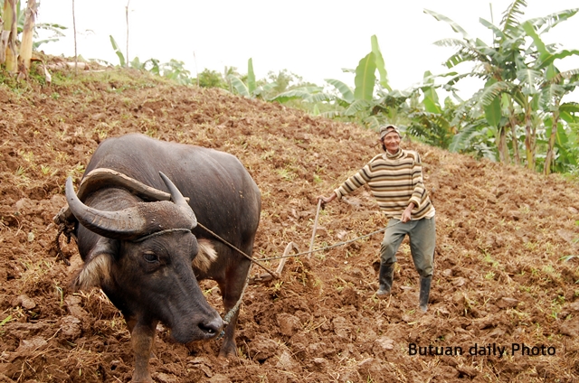 Butuan Daily Photo: A farmer and His Bestfriend
