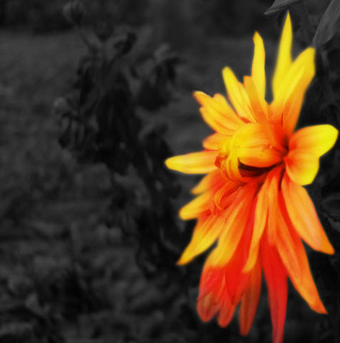 Fundamentals of Design: 2012-10-28