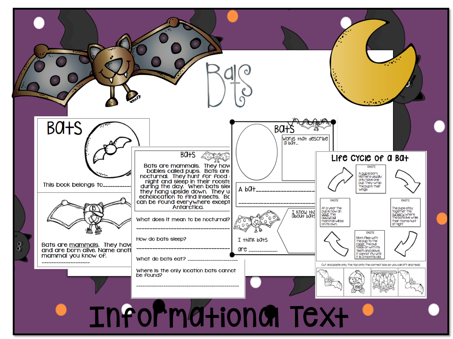1st Grade Hip Hip Hooray!: Bats and Spiders...an October treat!!