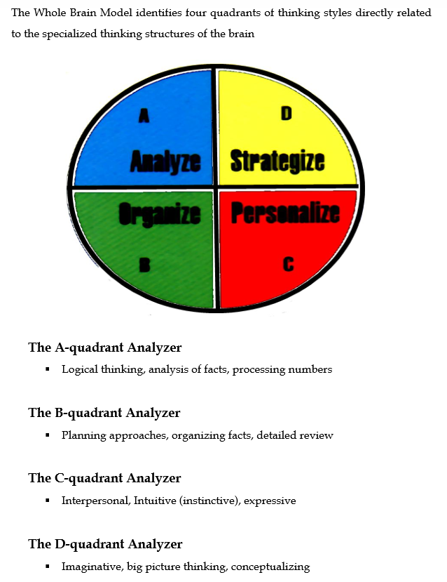 BRAIN PROFILING ~ 5th Game Labs