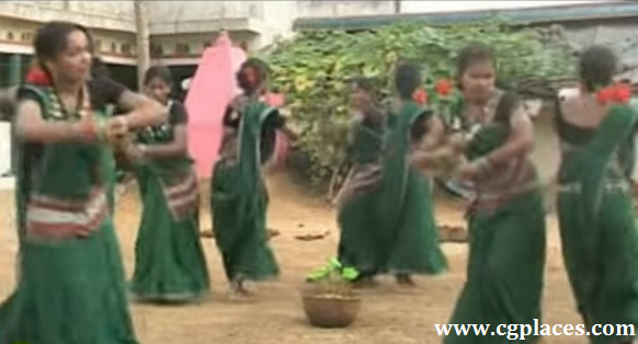 Chhattisgarhi Dance : Sua Dance Beautiful Tribal Folk Dance ...