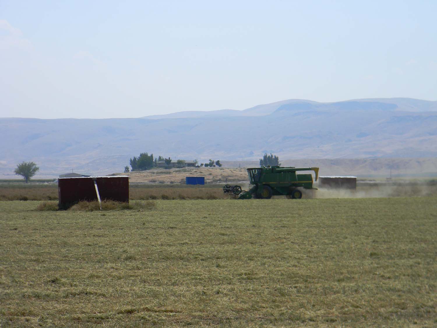 Owyhee Agriculture: Alfalfa Seed Harvest