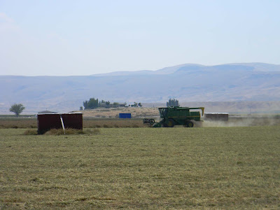 Owyhee Agriculture: Alfalfa Seed Harvest