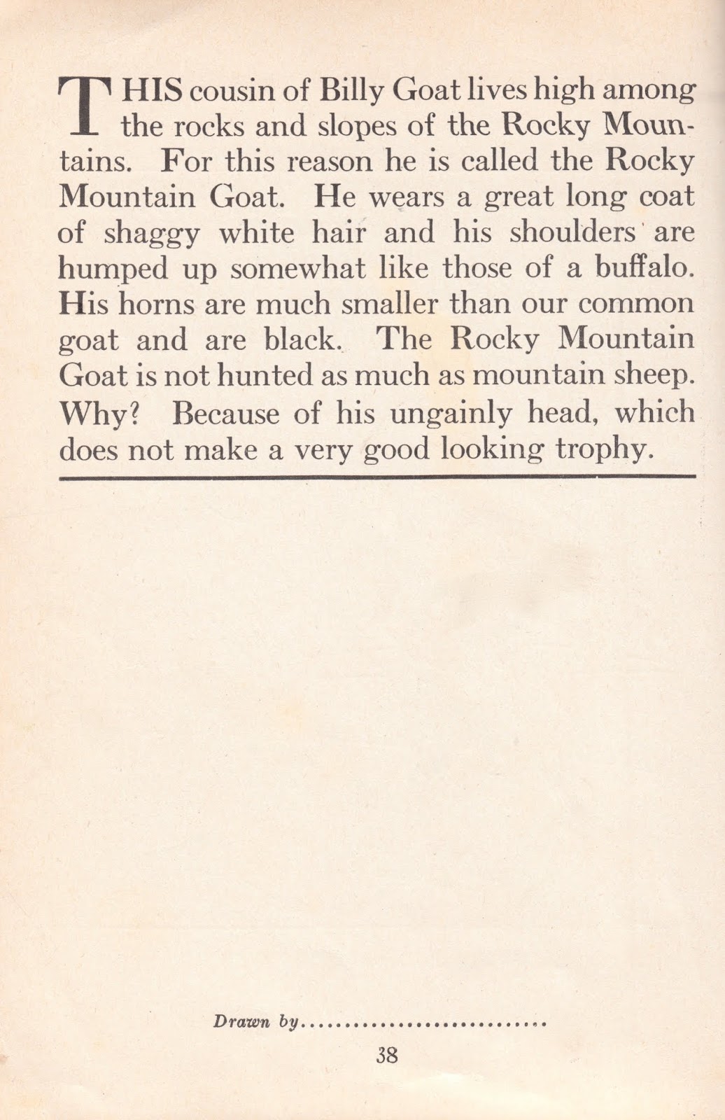 Cobb Shinn: Busy Fingers Drawing Primer