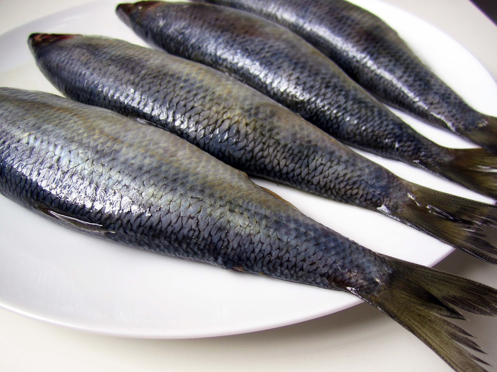 Rollmop Herring | The Grazer