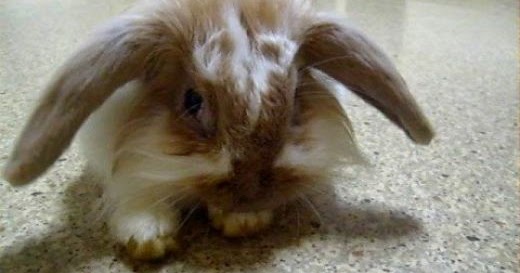 Pandora Machine Blog: Black