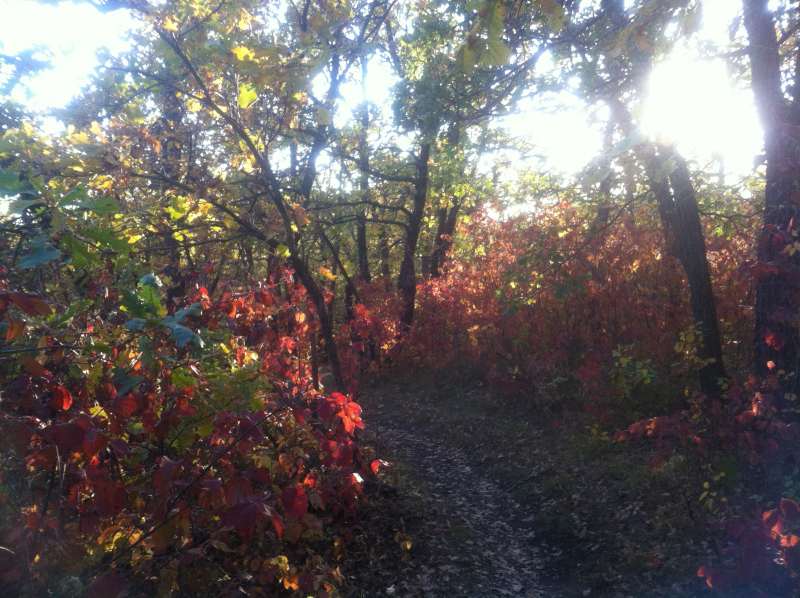 Take a Hike: Pembina Valley Provincial Park