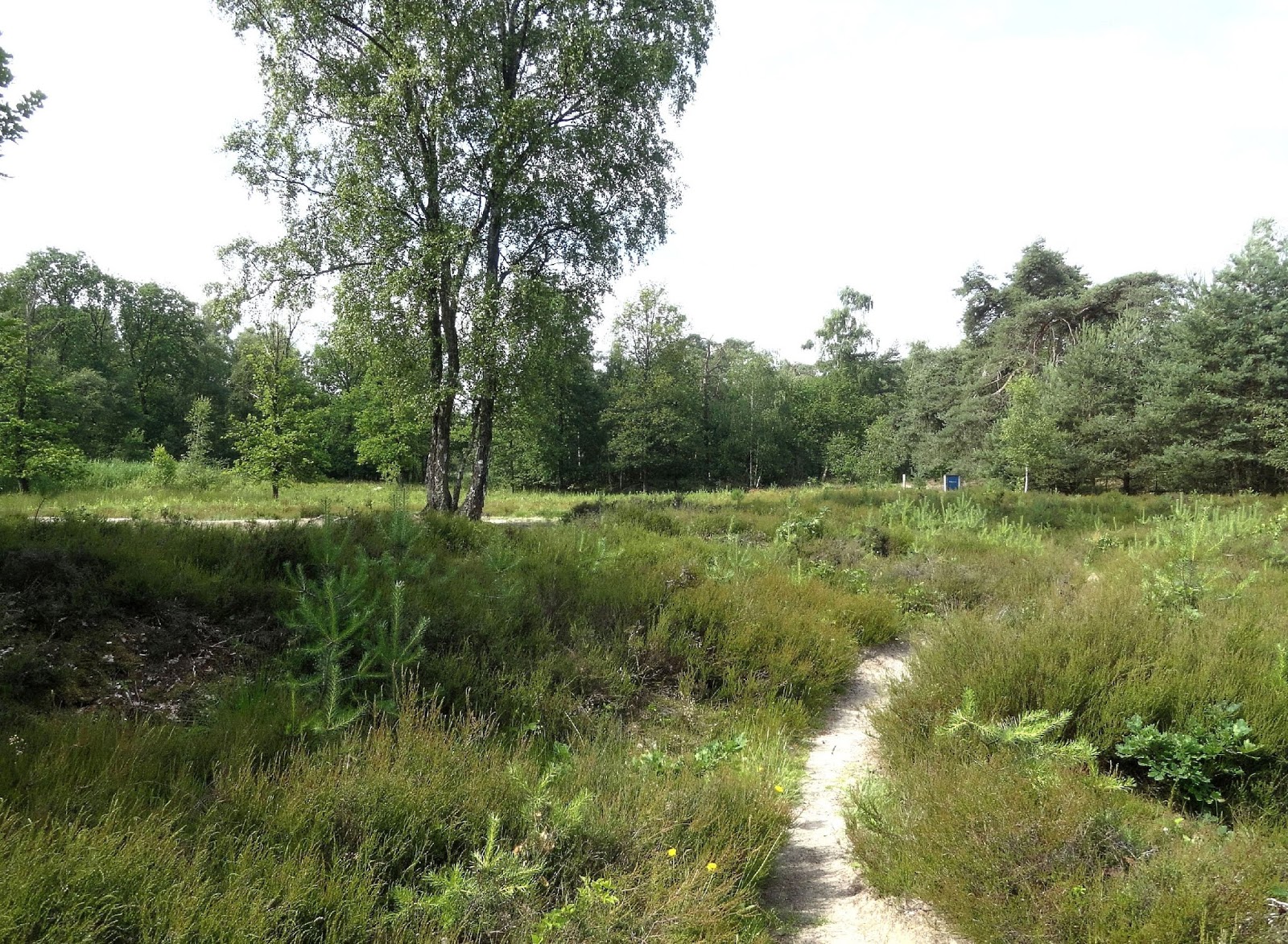Weert en natuur: Biotopen in het IJzerenmangebied.