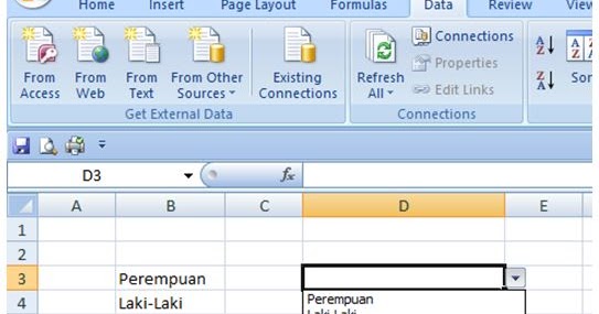 Cara membuat Dropdown list pada Excel - riwayatkuliner