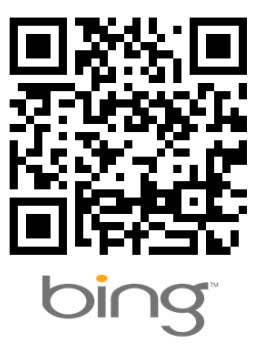 The Video Experts: Bring Your Community to Life with Video: Bing is ...