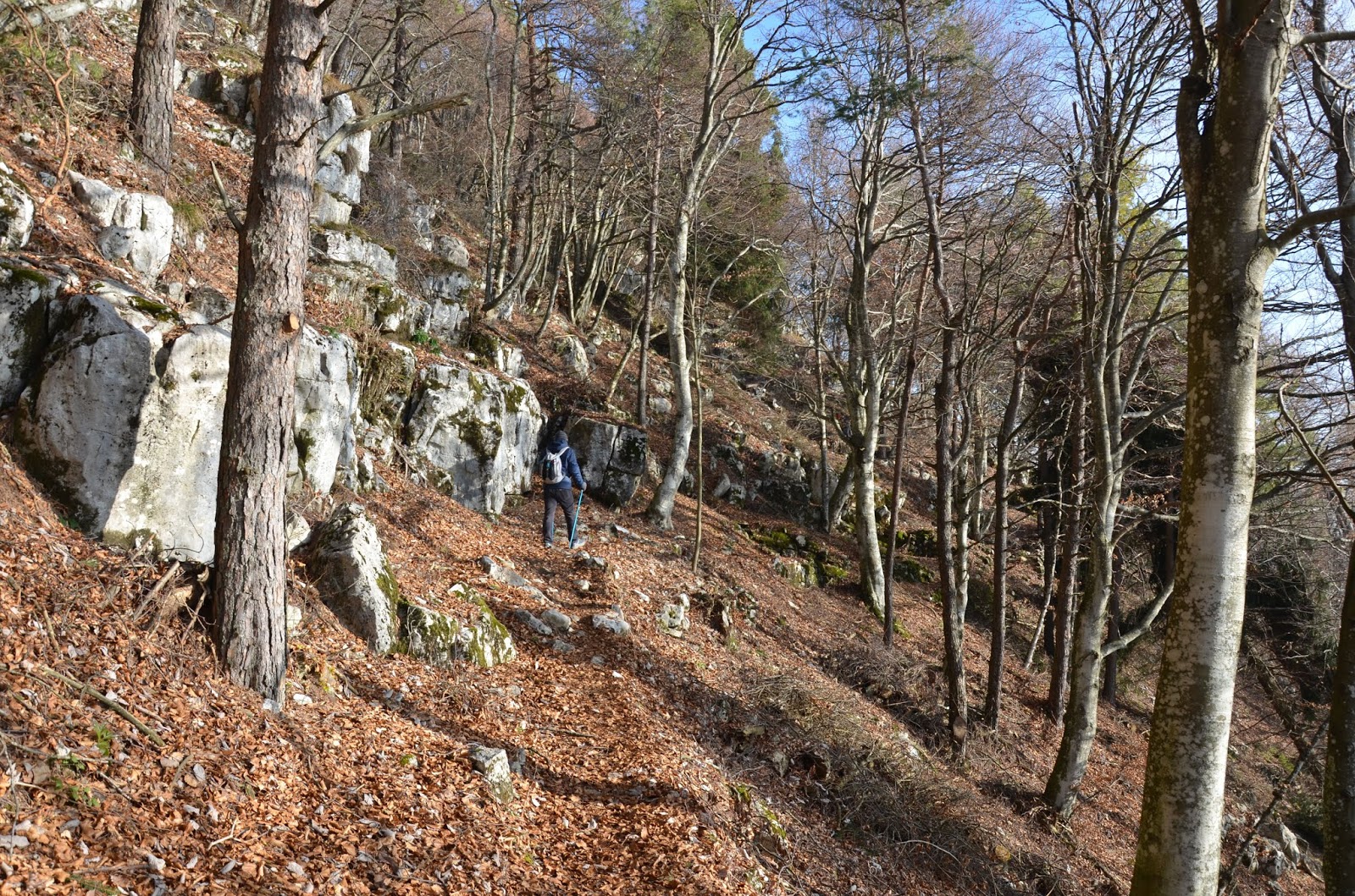 Cima Grappa da Baita Camol, per il sentiero 100. Escursione a Campocroce