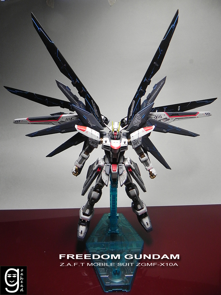 GUNDAM GUY: RG 1/144 Freedom Gundam - Painted Build