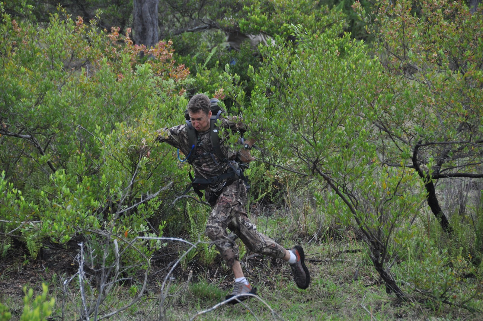 The Kaʻū Calendar News Briefs, Hawaiʻi Island: Dec 24, 2011