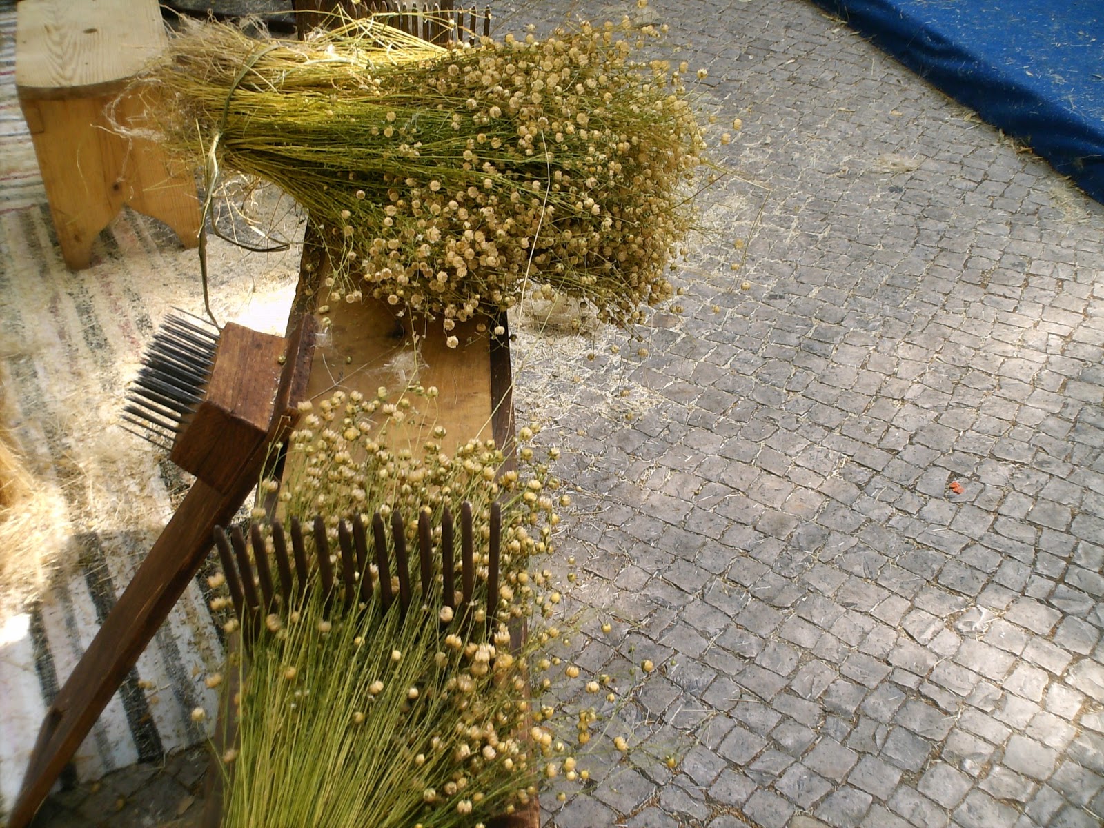 BlogDosForninhenses: O Linho