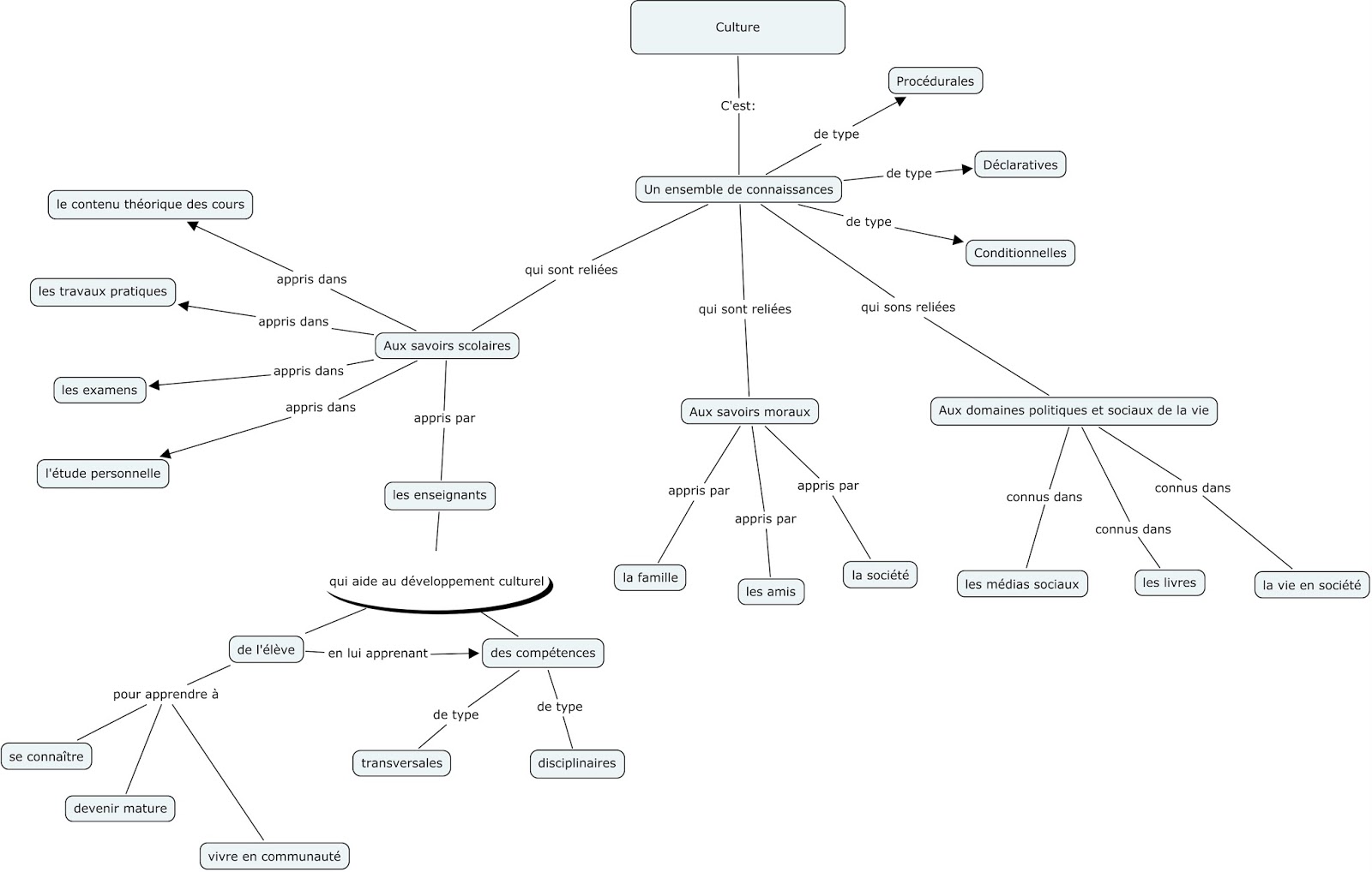Les mathématiques c'est pratique !: Mon schéma conceptuel de la culture