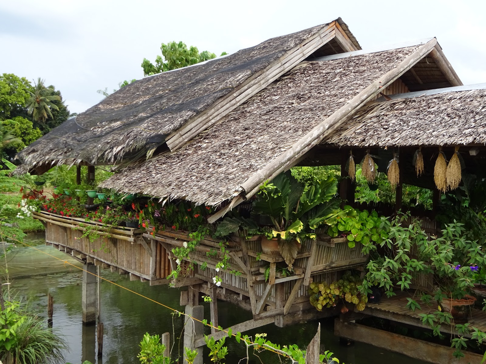 Permaculture Research PH: Dumingag: A Sneak Peak into the Organic Town ...