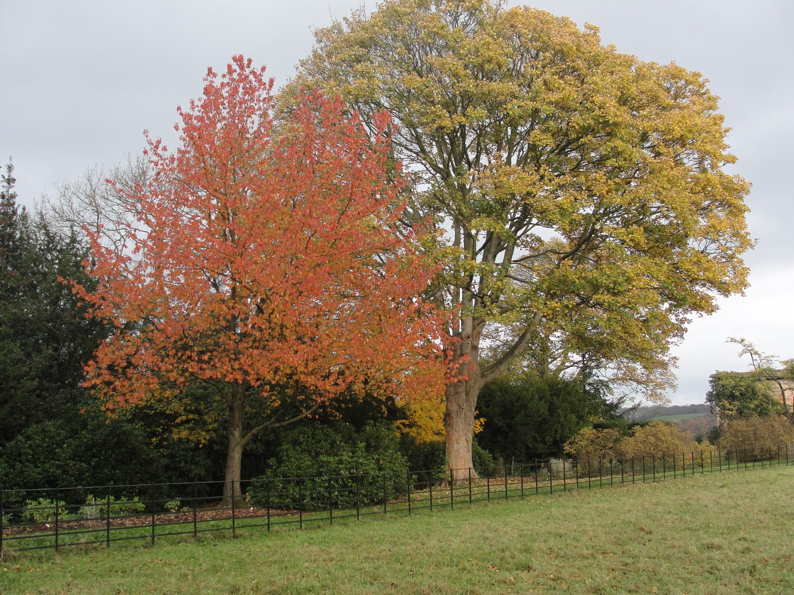 Gibside: October 2011