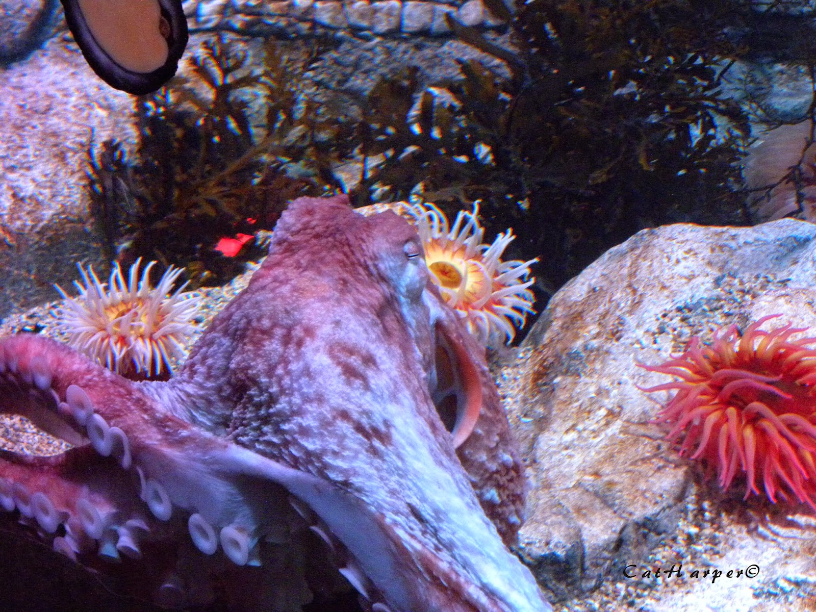 Shutterbug Traveler: September 2014