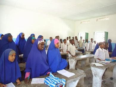 HORN-WATCH: Somalia: Education despite itself - In-Depth Analyses