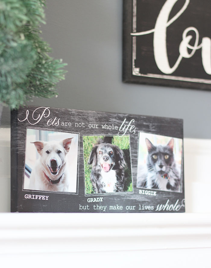 5 Personalized Pet Gifts Your Valentine Will Love | Sunny Day Family