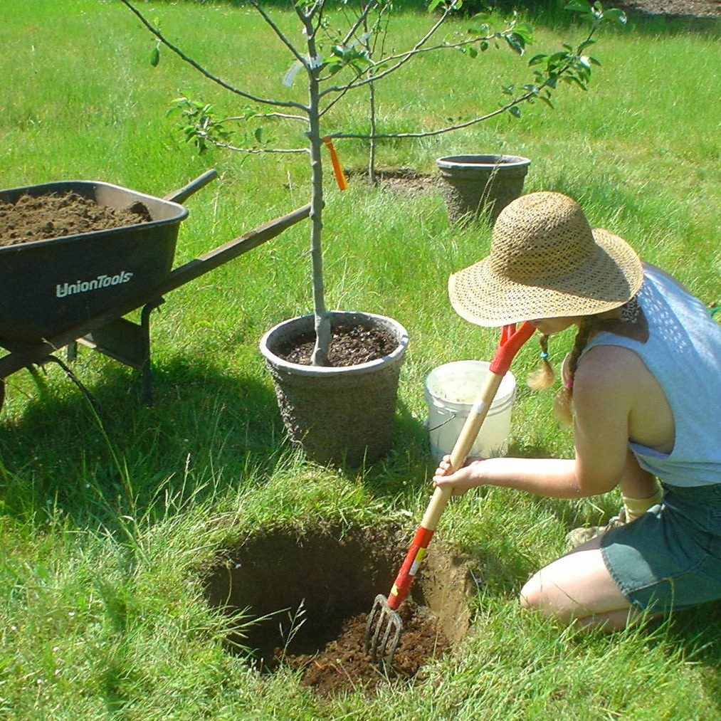 "Sharing Gardens": Putting Down Roots--The Sharing Gardens Has a ...