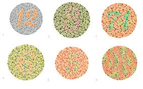 Cek Buta Warna dengan Gambar dan Aplikasi | TETESAN ILMU