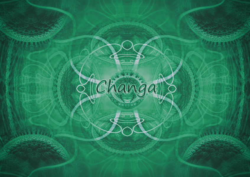 Reflections on the New Paradigm: Reflections: Changa::Reflections on ...