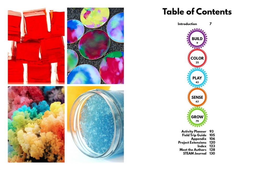 Share it! Science : Hands-on, Minds-on Fun Learning with STEAM Kids!