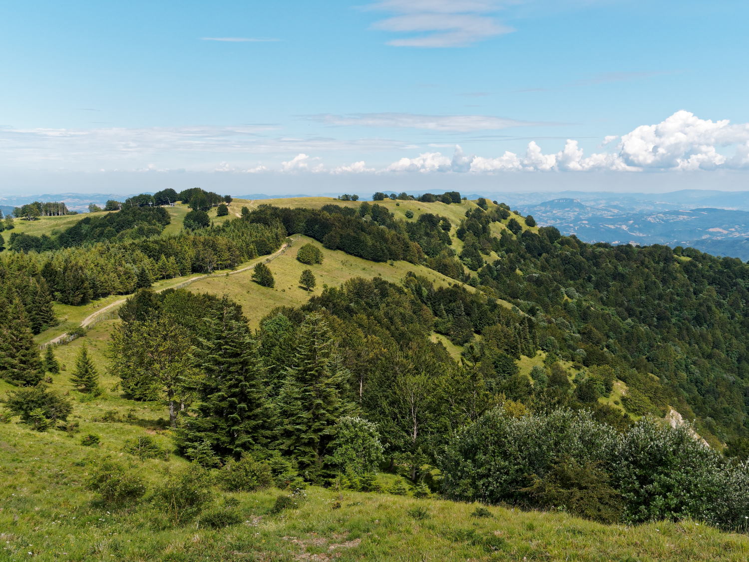 NIGEL'S RAMBLES: Schia. A hill with a view.