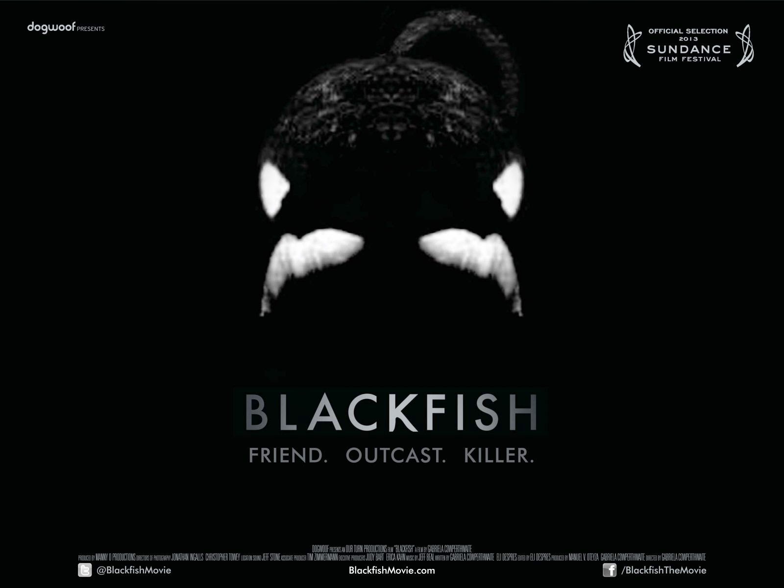 "Celle qui aimait son pyjama": J'ai regardé "Blackfish"