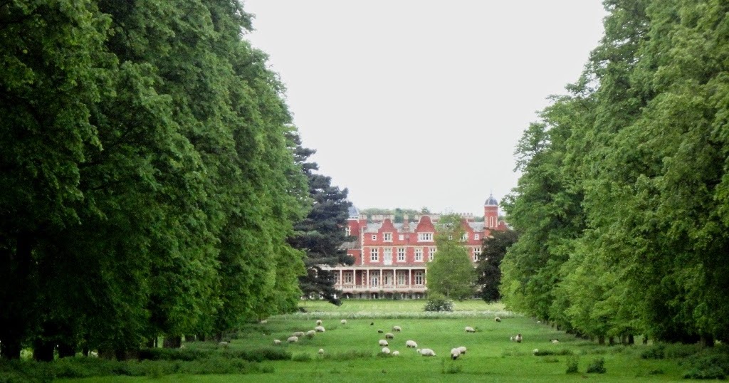 Montesymasdebucuesa: 35-14. PASEO POR LOS ALREDEDORES DEL BABRAHAM ...