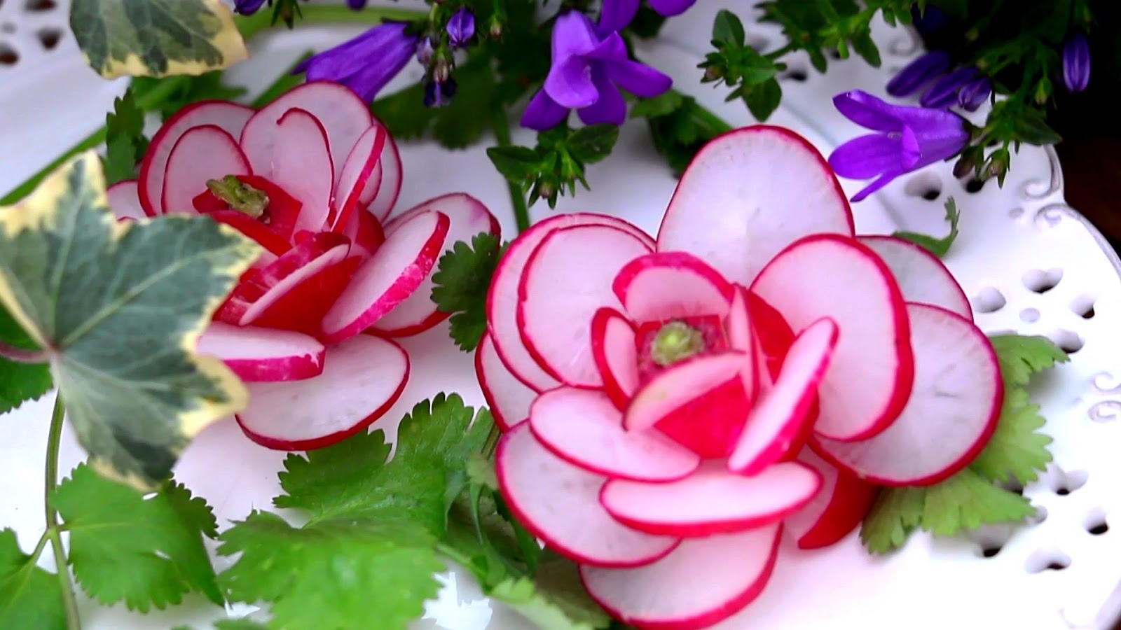ItalyPaul - Art In Fruit & Vegetable Carving Lessons: Red Radish ...
