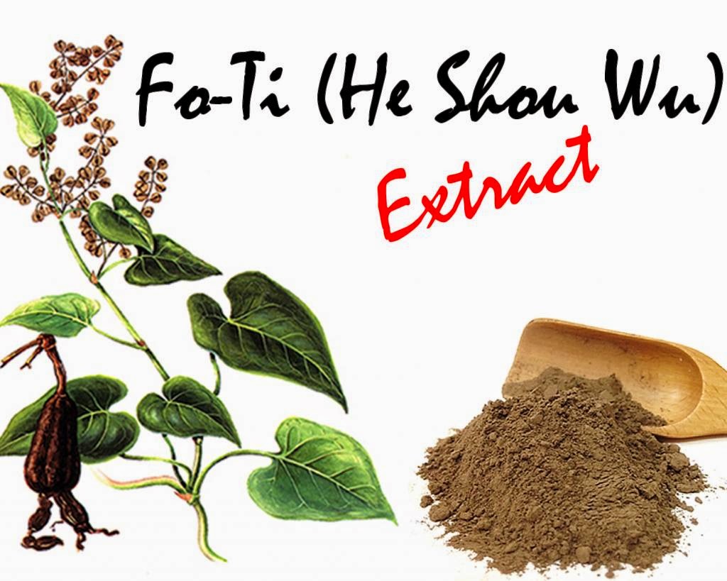 Fo-ti Root Benefits ~ Healthy Tea 101