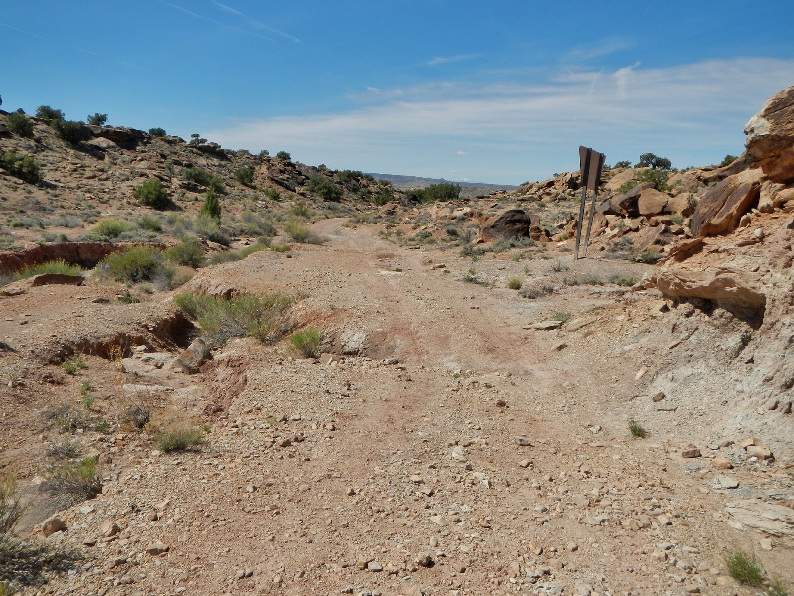 The Southwest Through Wide Brown Eyes: Copper Ridge Dinosaur Trackways ...