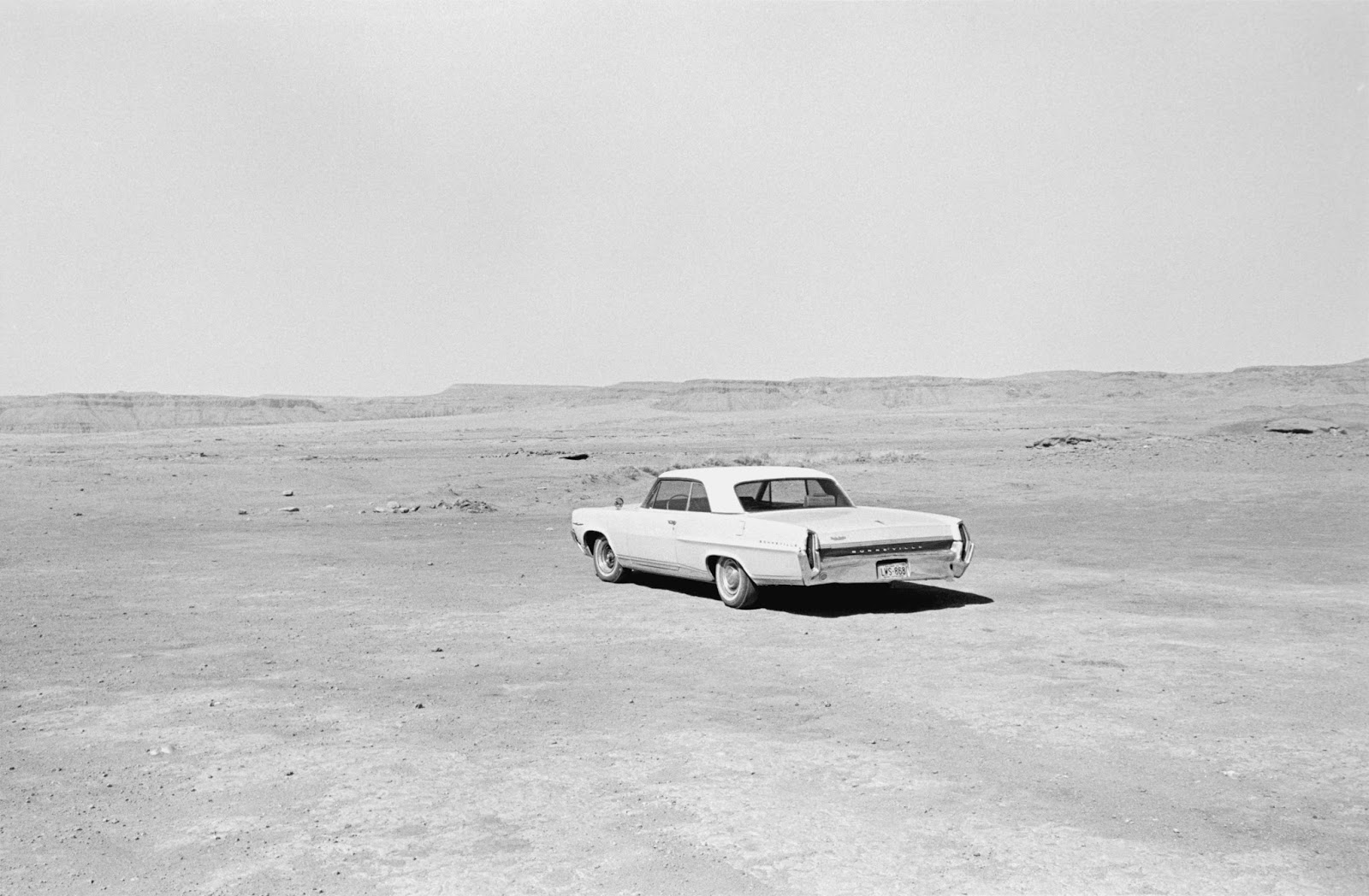 Lyssa humana: Photographer: Henry Wessel