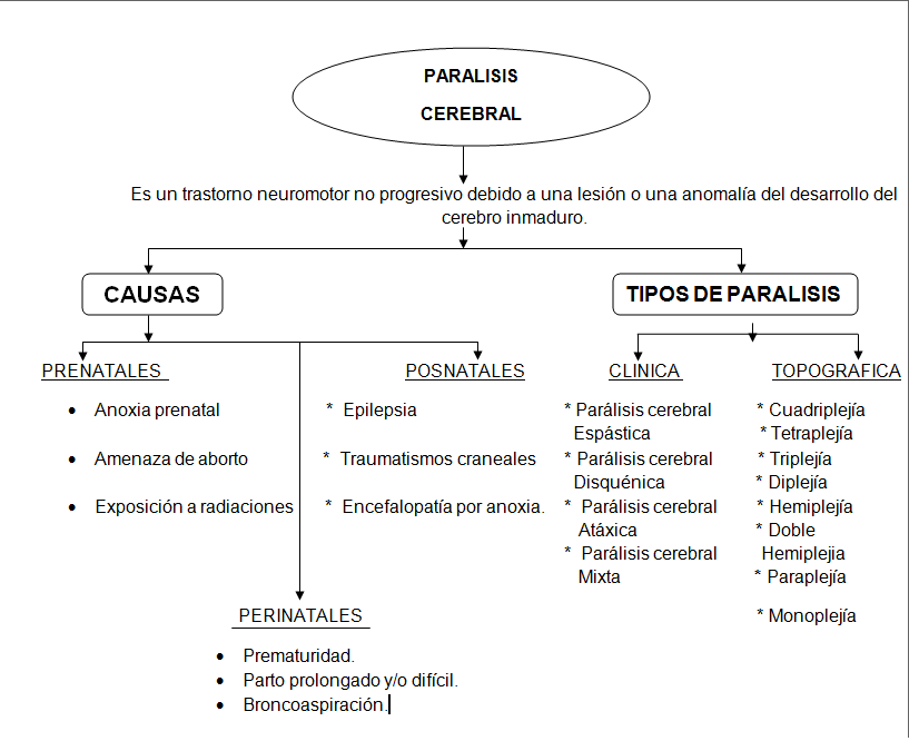 Paralisis Cerebral Infantil