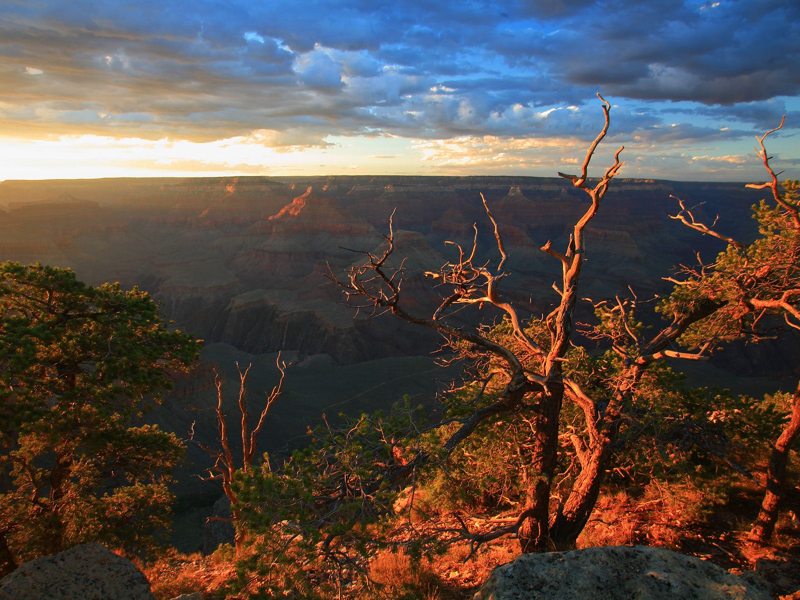 Top Fonds D'écrans Tablette | Fond Ecran Pc