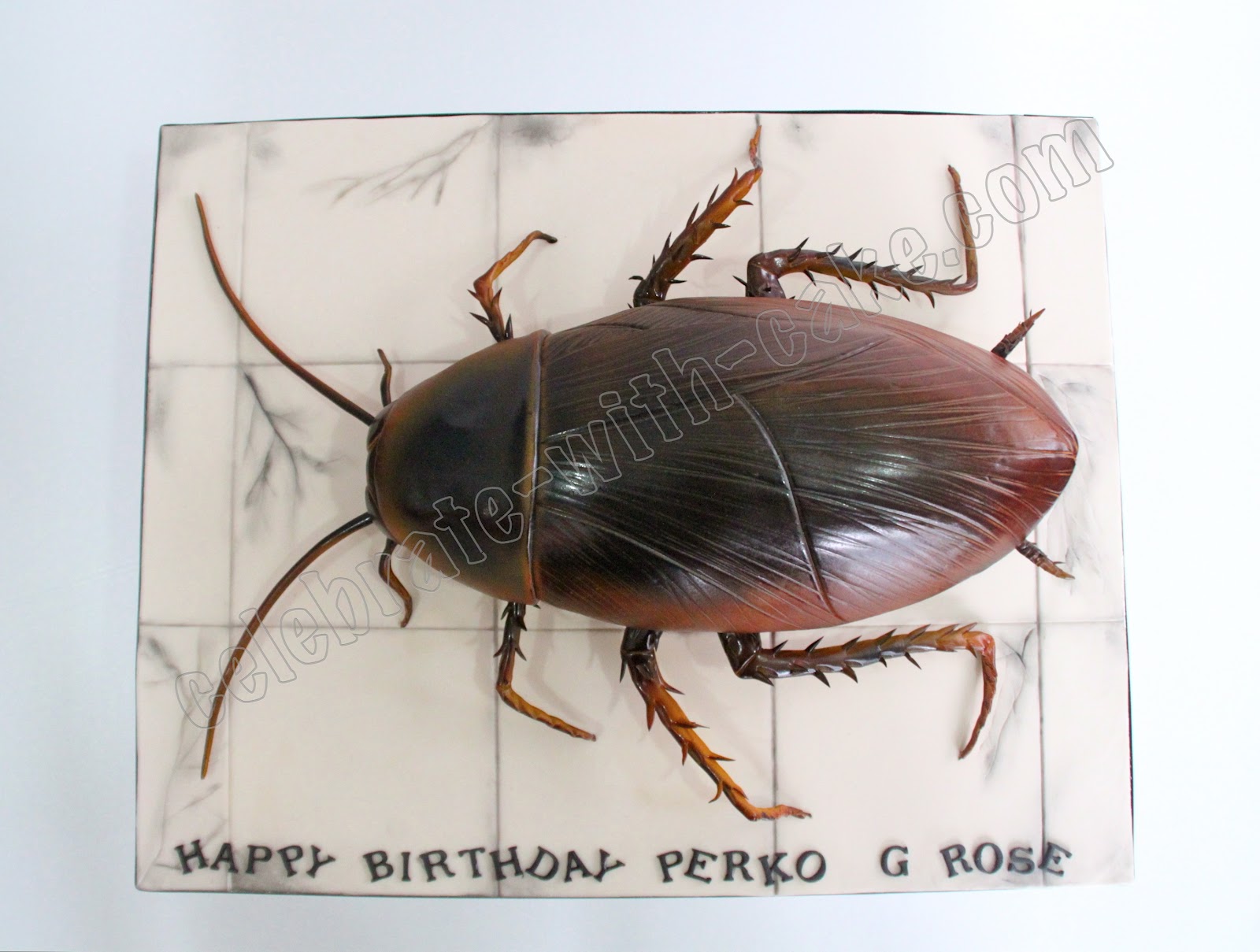 Sculpted Cockroach Cake