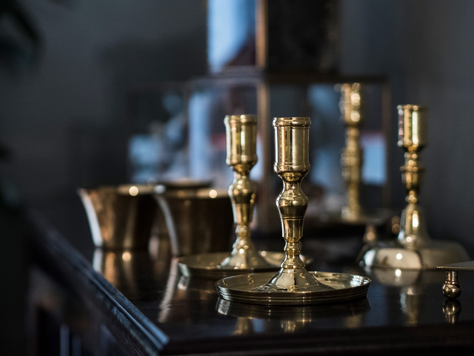 The Wilde Things : The All-New Proloque