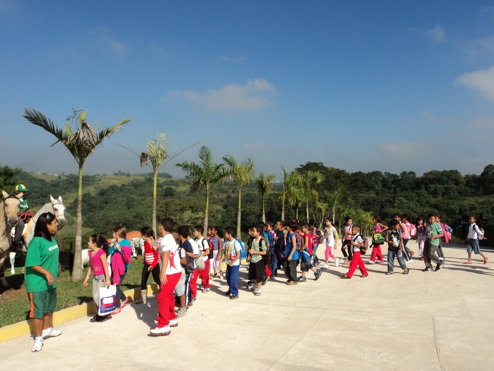 Selenilda - Aventura e Magia um passeio pelo saber: PASSEIO A ECOLANDIA