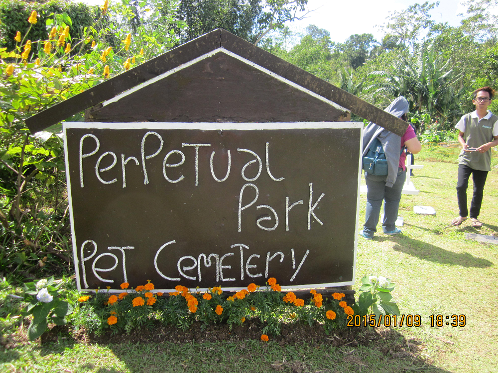 The Paradizoo: A Garden Paradise and a Zoo in one at Mendez, Cavite