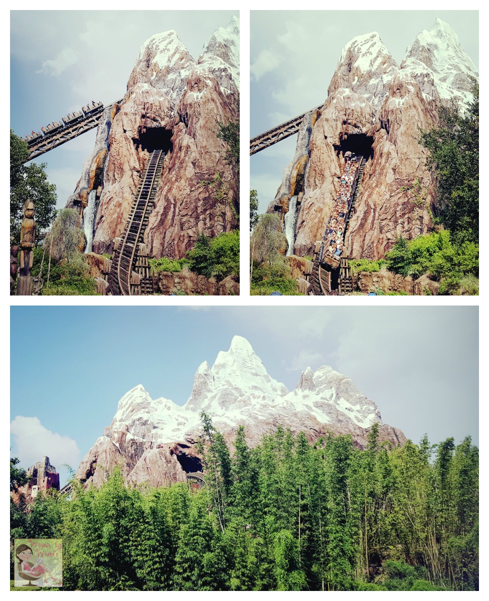 Woven by Words: Park Hopping - Walt Disney World Day 4 Part 2