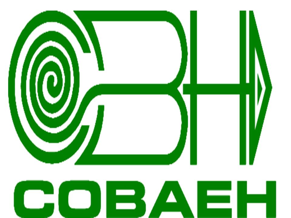 COBAEH MINERAL DE LA REFORMA: LOGO