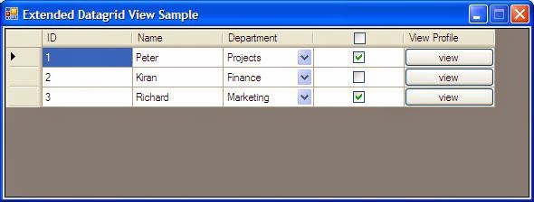 Blog Source code gratis: Source Code Custom DatagridView