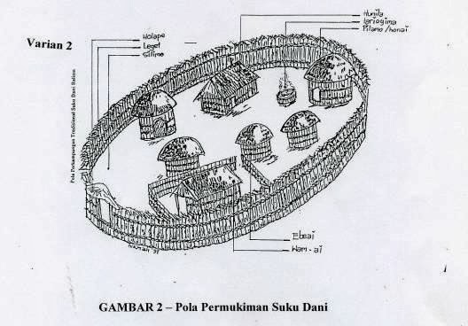 Rizki Fachurohman Blog: TIPOLOGI RUMAH ADAT PAPUA HANOI