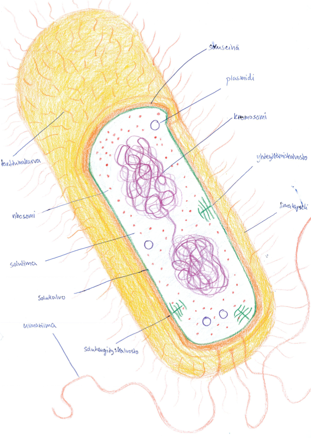 Biologia 5: Bioteknologia