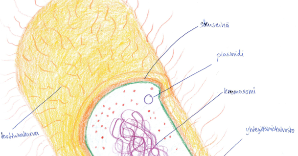 Biologia 5: Bioteknologia
