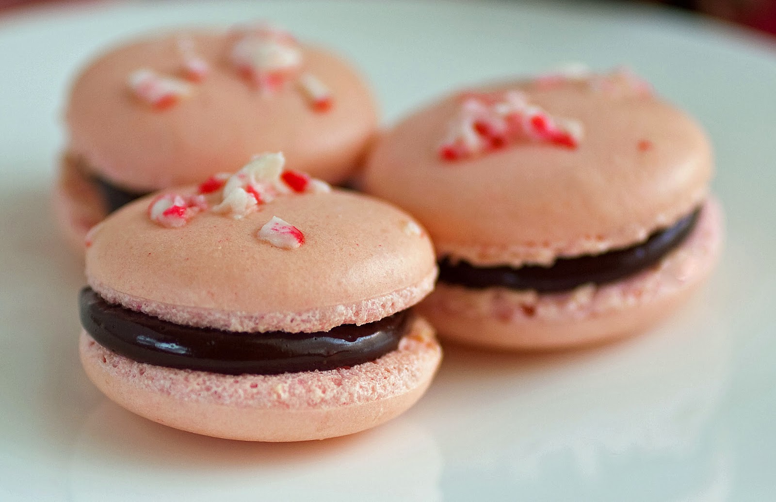 Tish Boyle Sweet Dreams: Ganache-Filled Pink Peppermint Macarons