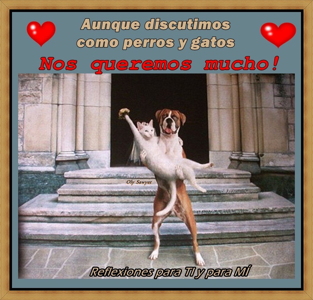 Reflexiones para TI y para MÍ: * Aunque discutimos como perros y gatos...