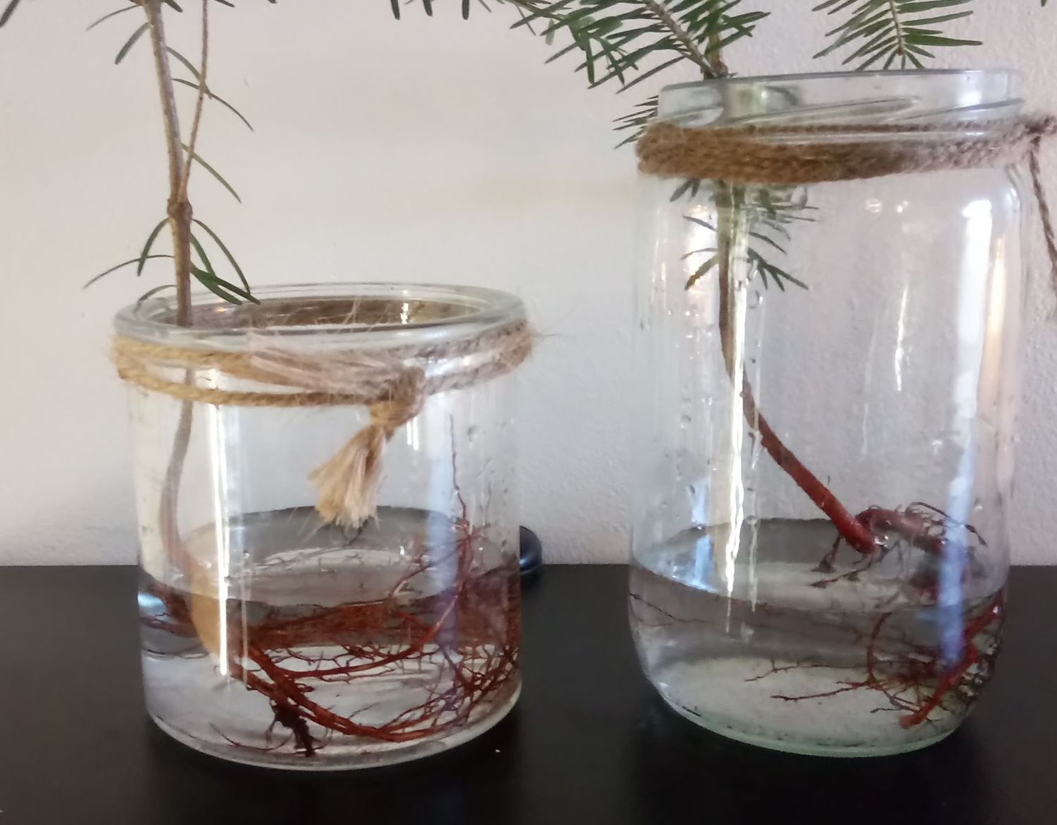 Fredes: Grøn og enkel julepynt